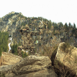 Raider Broadsword Hydrographic Film - WTP-939 | TWN