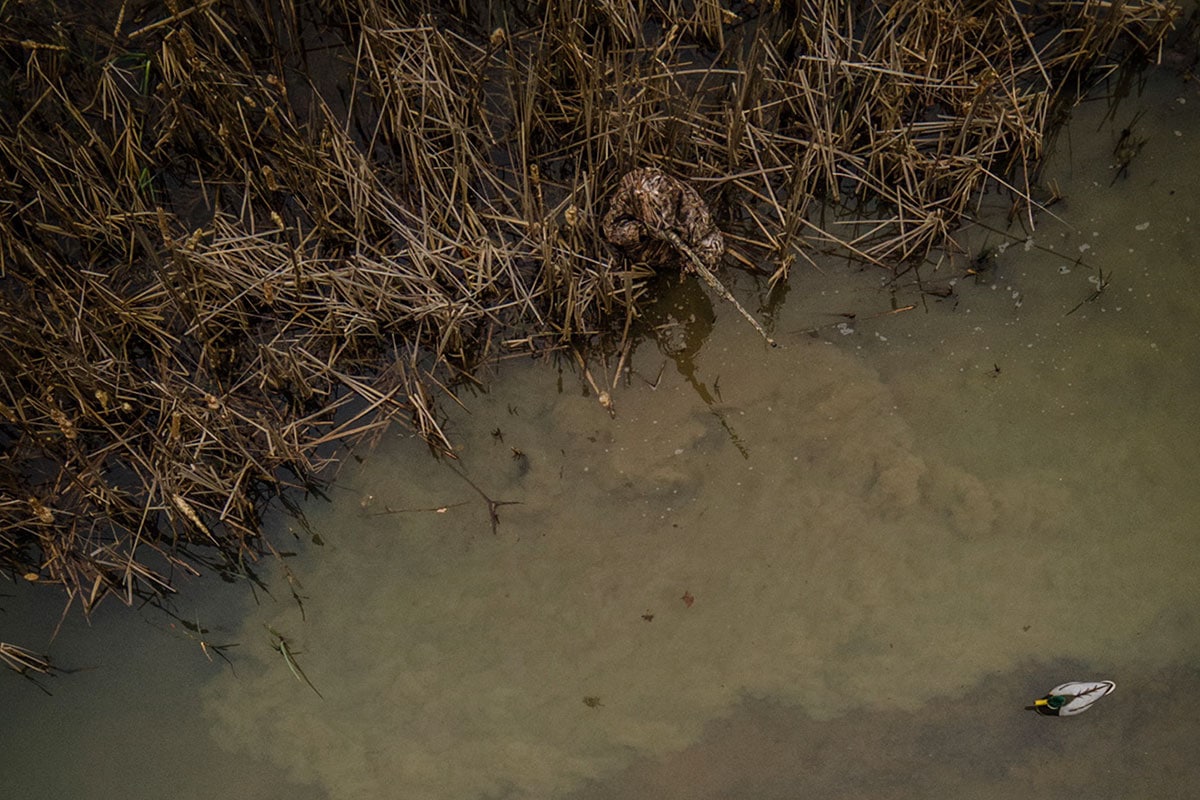 TWN Launches Realtree MAX-7® Hydrographic Film - TWN Industries