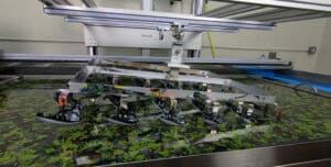 Hydro Dipping: The Ultimate Guide | TWN Industries